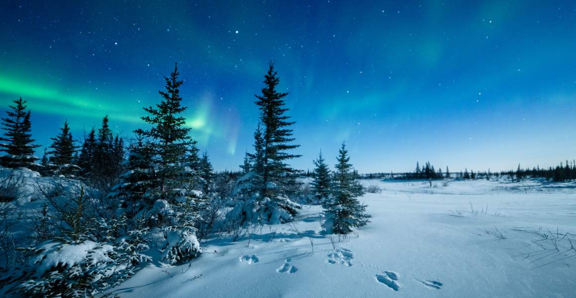 Fly Direct From Springfield, MB With No Positioning Fees | AirSprint