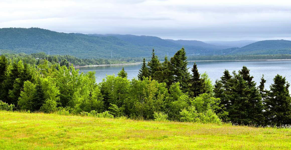 Fly Direct From Charlo, NB With No Positioning Fees | AirSprint